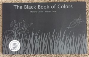 Book Review: The Black Book of Colors – D.M. Patterson